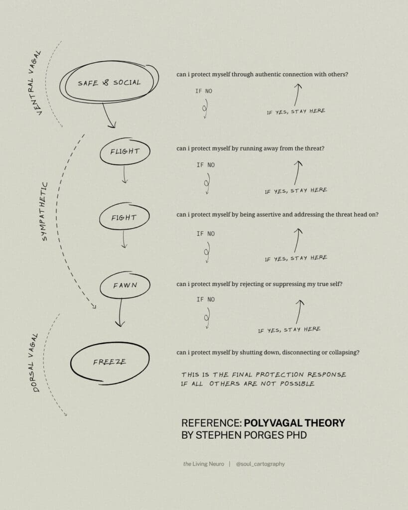 Trauma Recovery